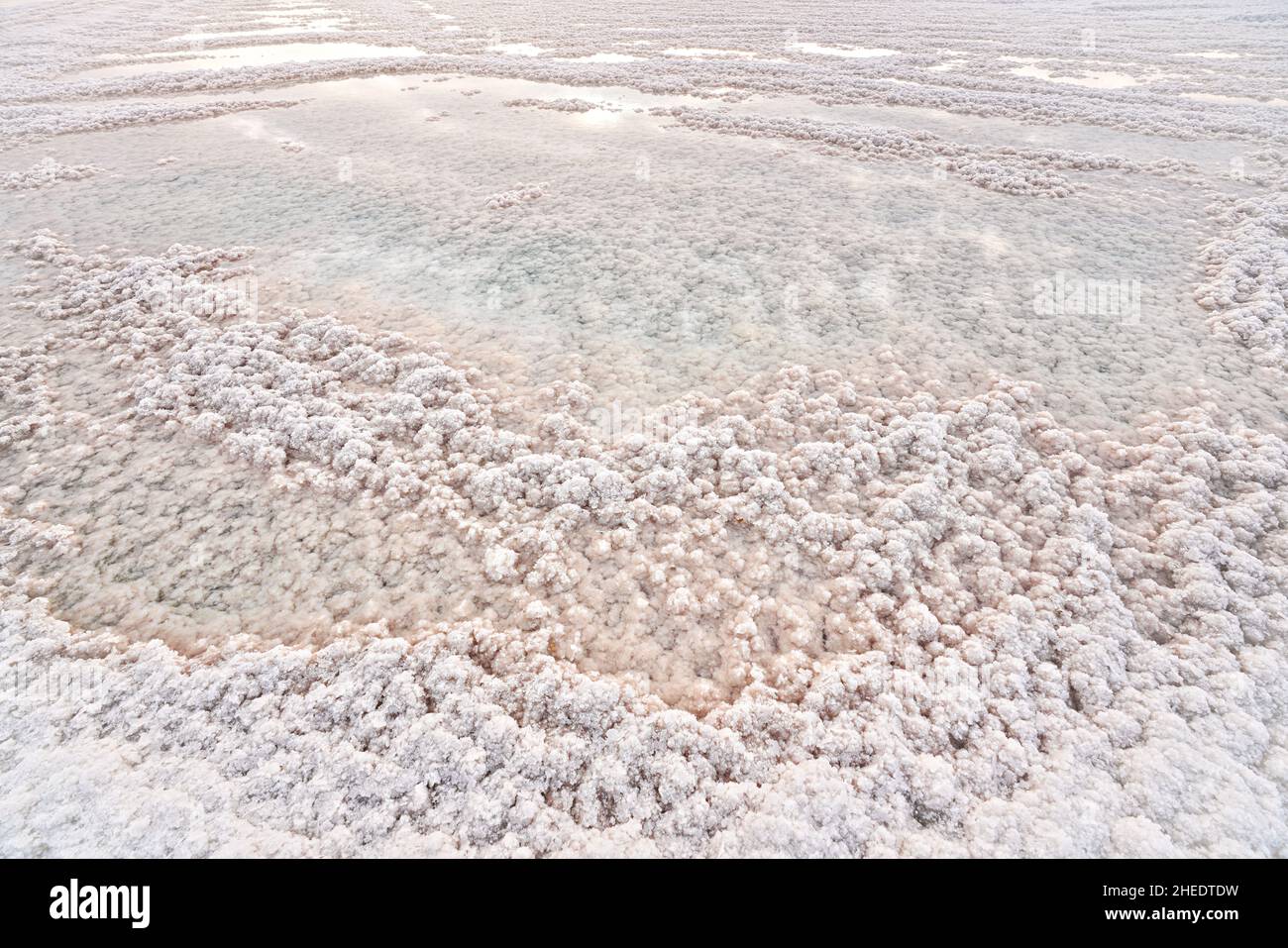 Crystalline salt beach lit by morning sun, small puddles with seawater ...