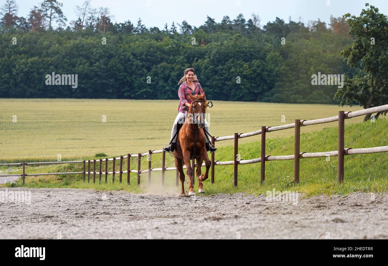 Young woman wearing shirt riding brown horse in sand paddock by wooden ...
