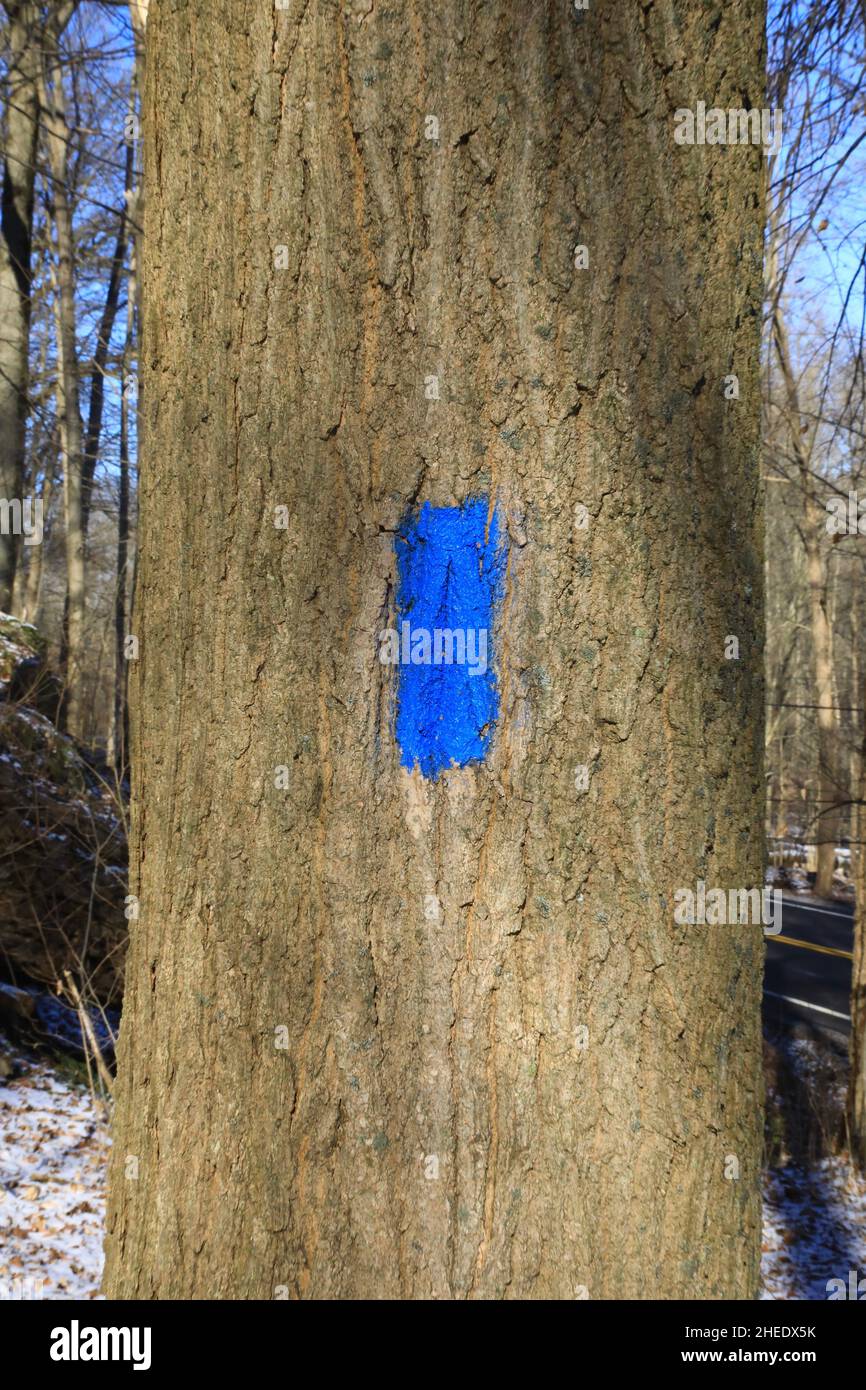 Trail marker of colored paint Stock Photo - Alamy