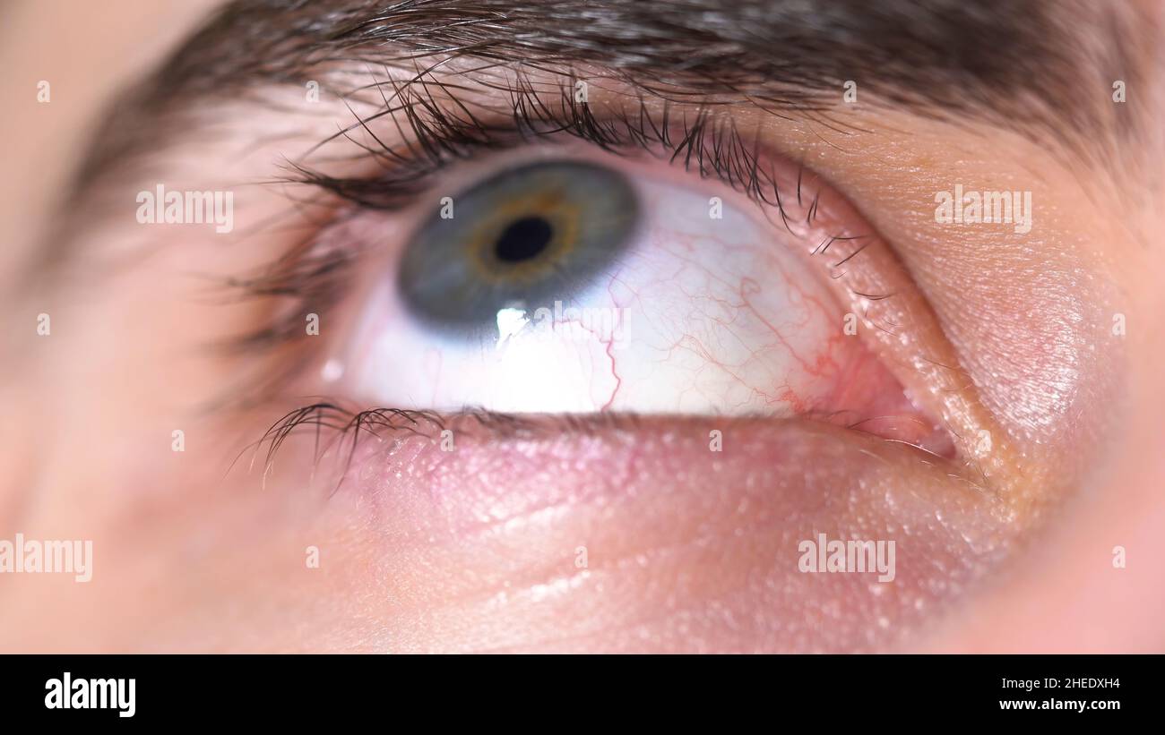 Extreme close up of a beautiful blue man eye looking around, human body ...