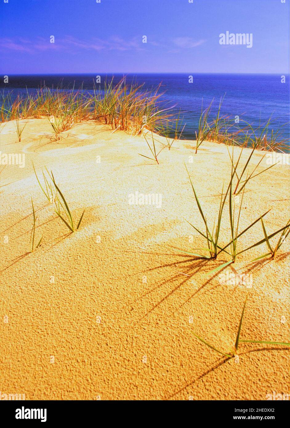 Marconi Beach along the Cape Cod National Seashore Stock Photo - Alamy