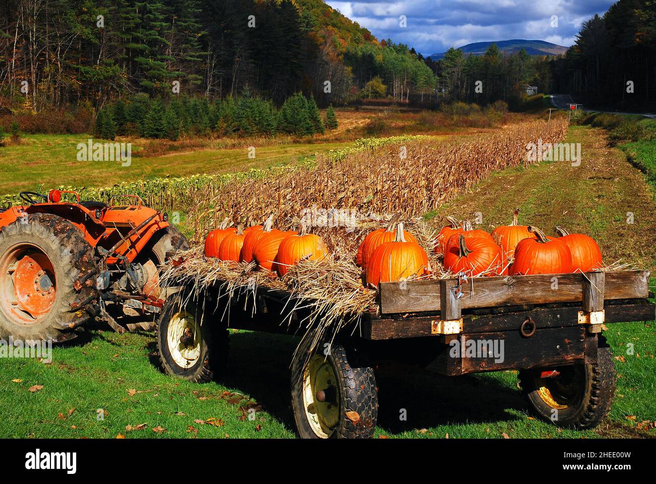 American harvest display hi-res stock photography and images - Alamy