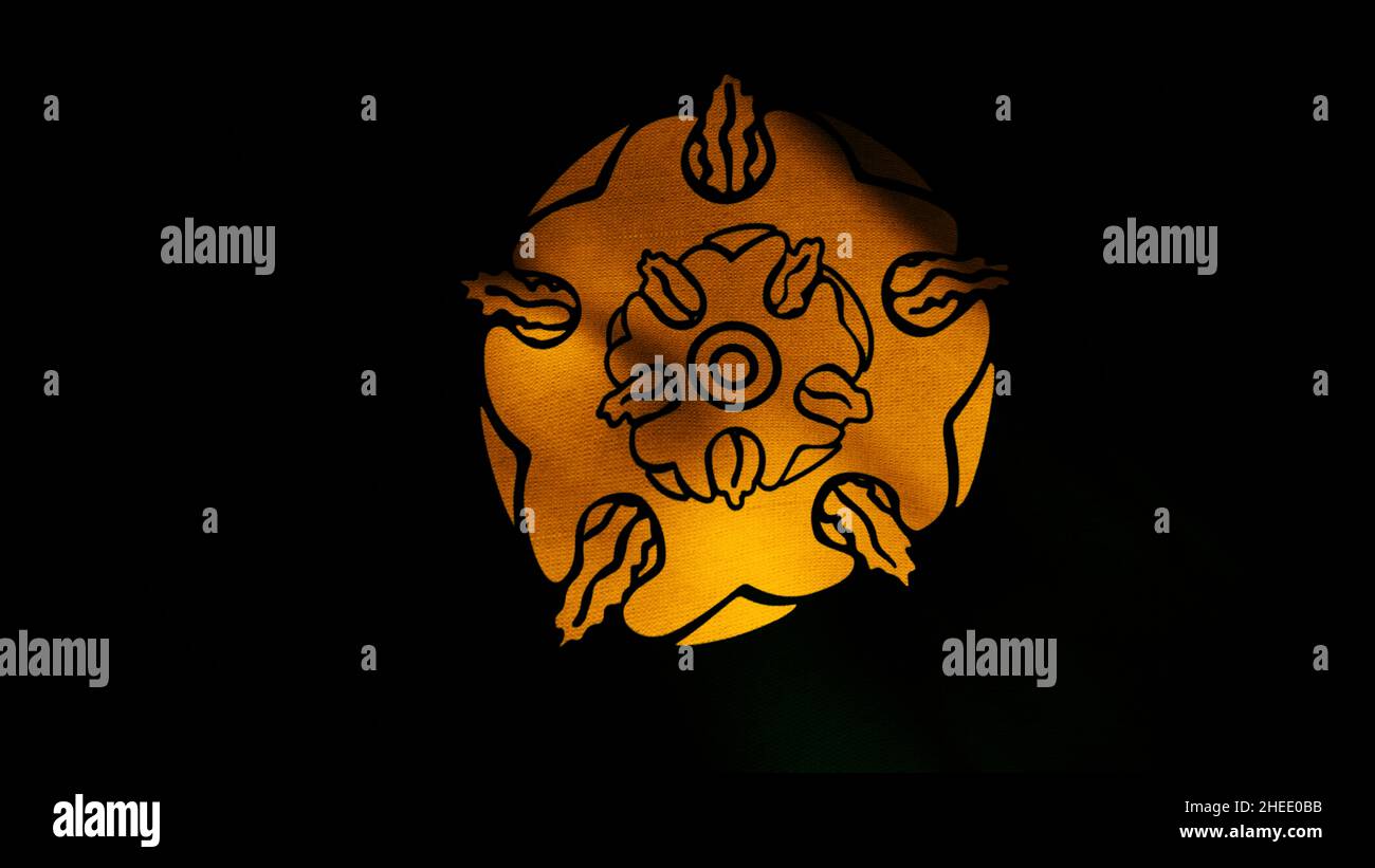 Black bauhinia flag hi-res stock photography and images - Alamy