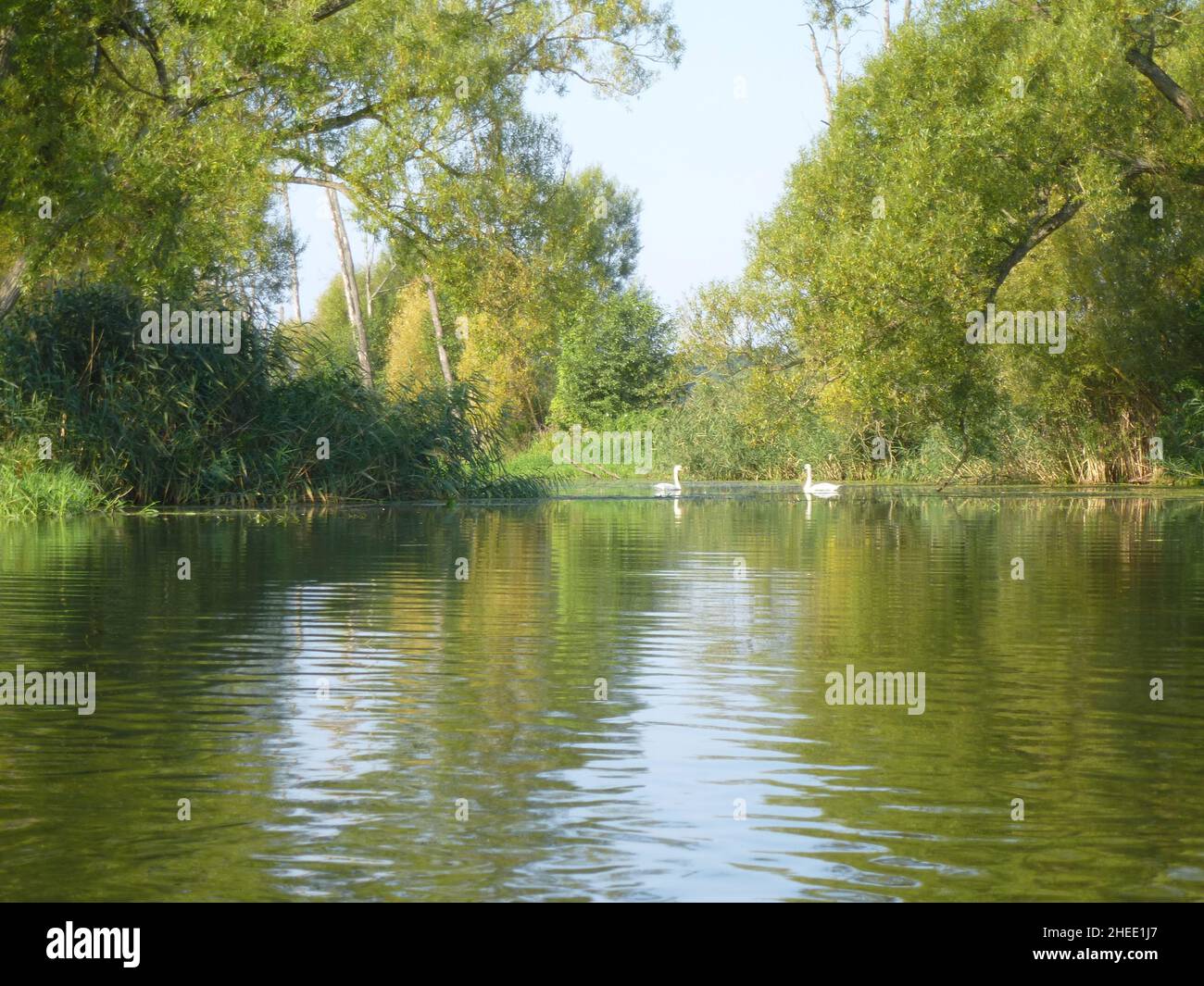 Beautiful landscape river canoe hi-res stock photography and images - Alamy