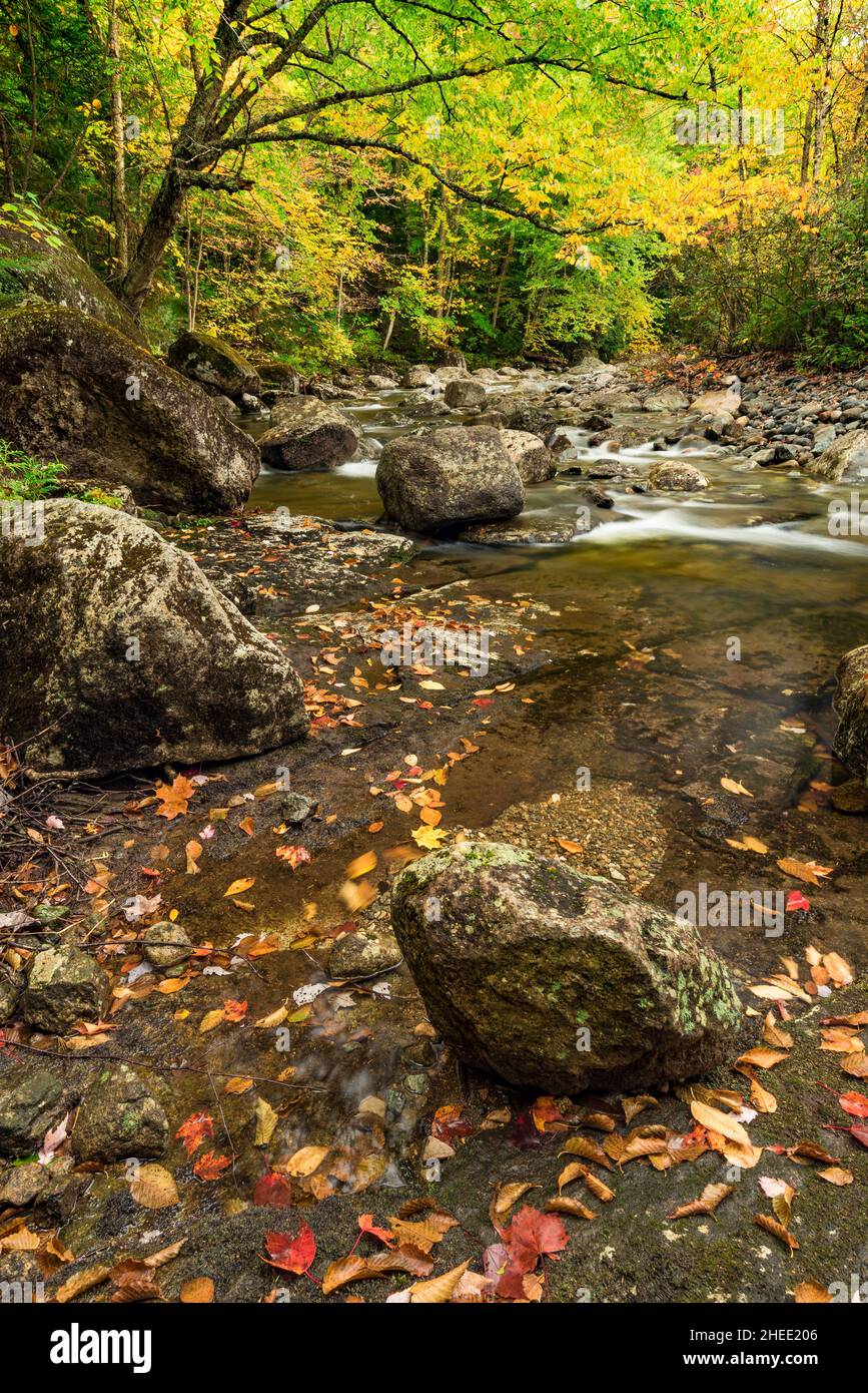 Indian Pass Brook in autumn, Adirondack Park, High Peaks Region, Essex ...