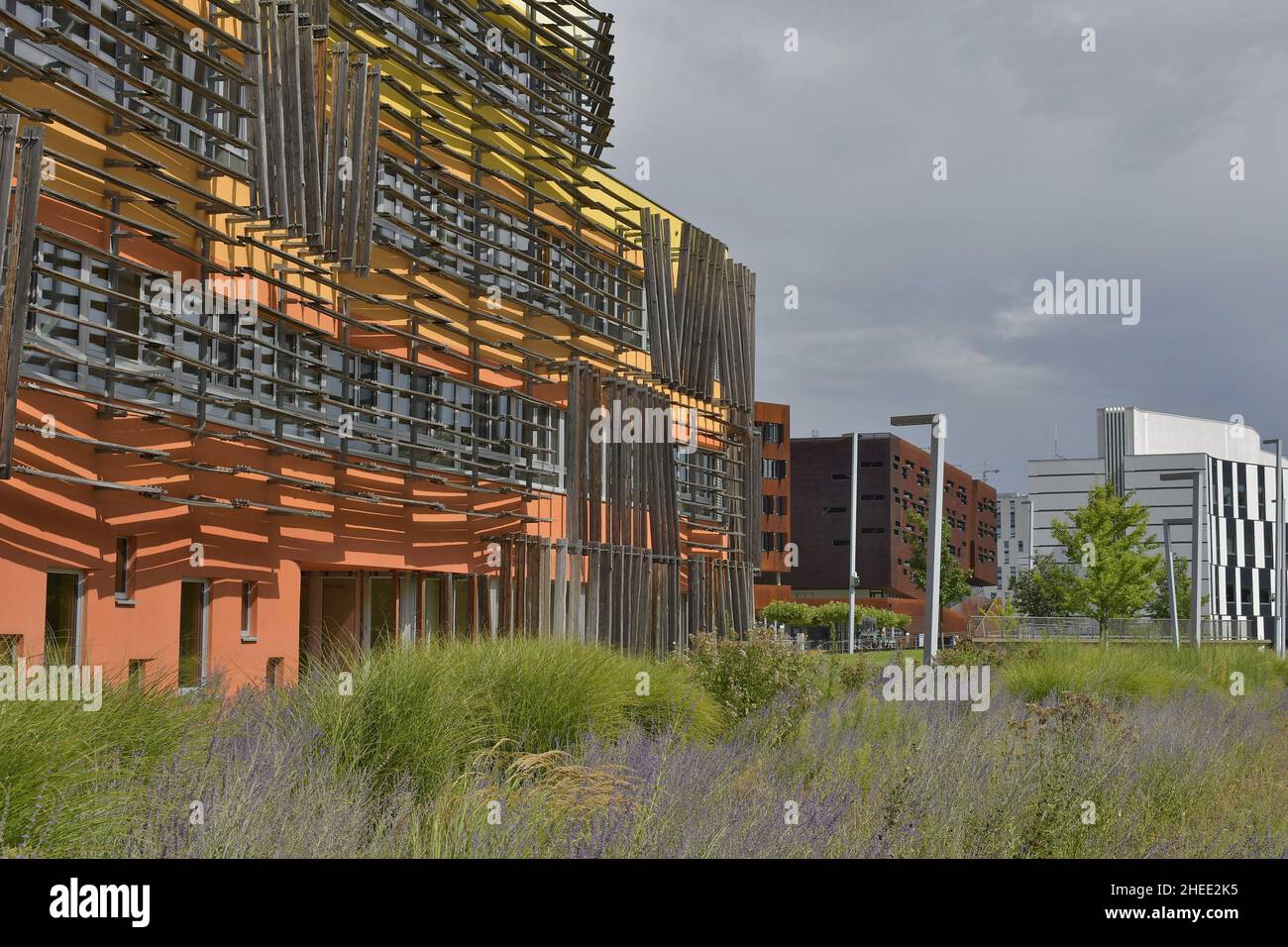 WU (Wirtschaftsuniversität Wien) University of Economics and Business ...