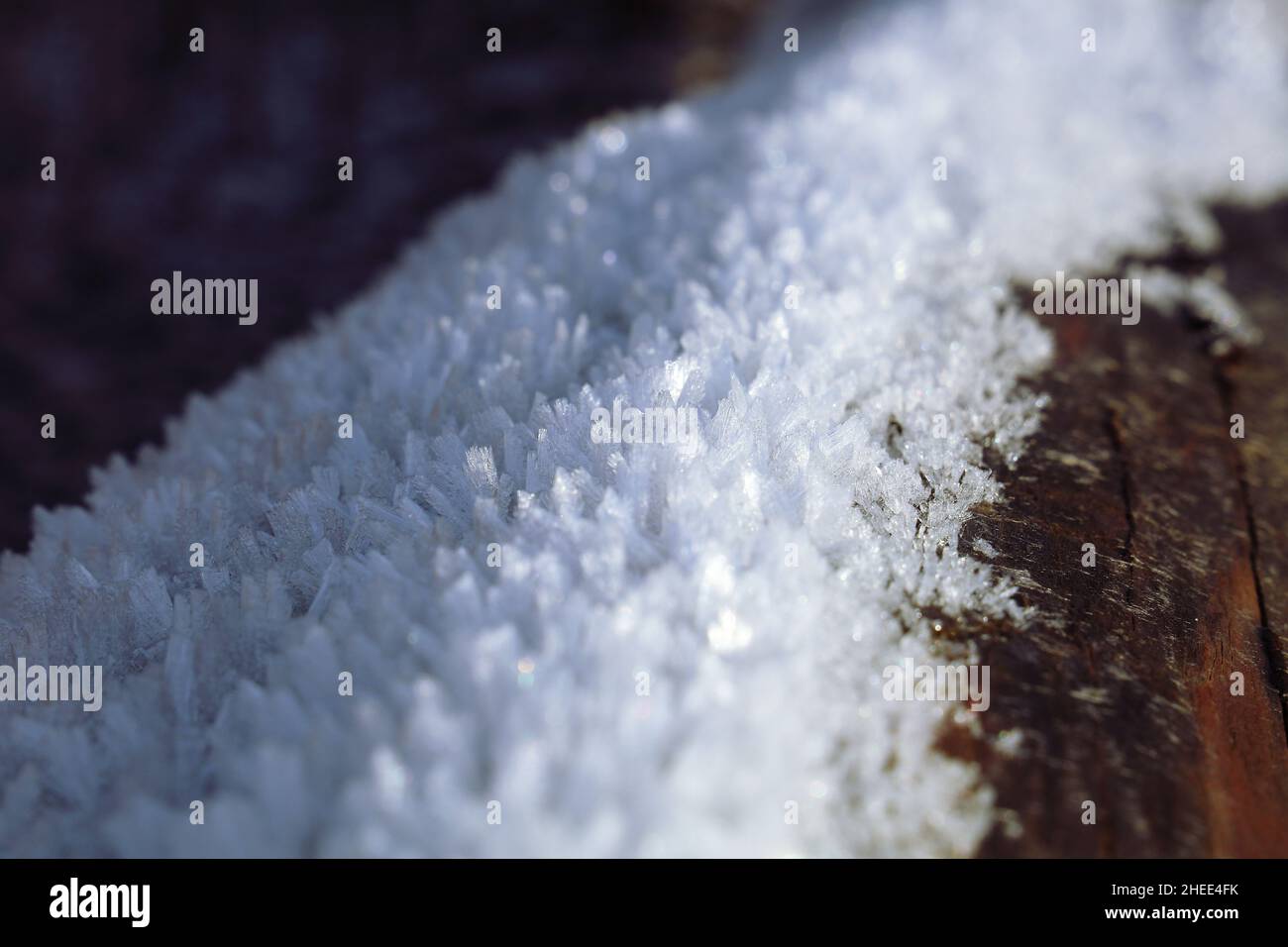 Soft Rime on a Log Stock Photo - Alamy