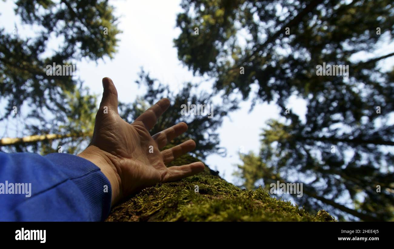 Man hand against green dark forest trees woods in outdoor leisure ...