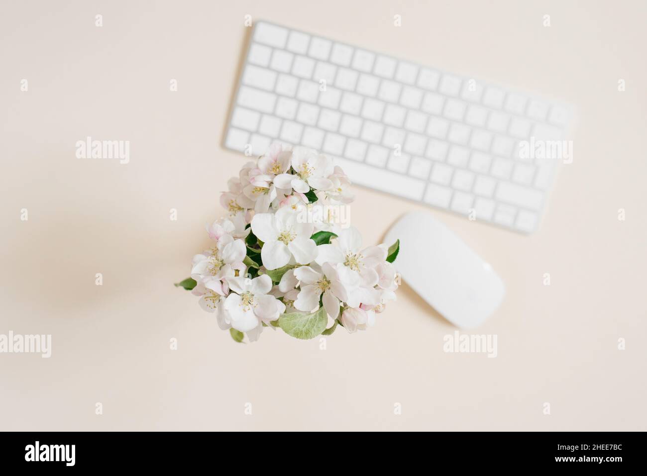 Keyboard and mouse and white apple flowers in a vase out of focus on a ...