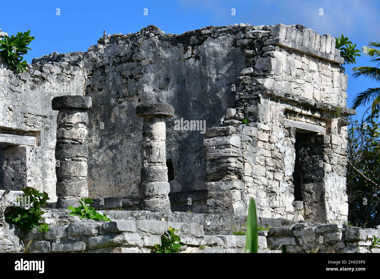 Temple of the Descending God (Templo del Dios Descendente), Mayan ruin ...