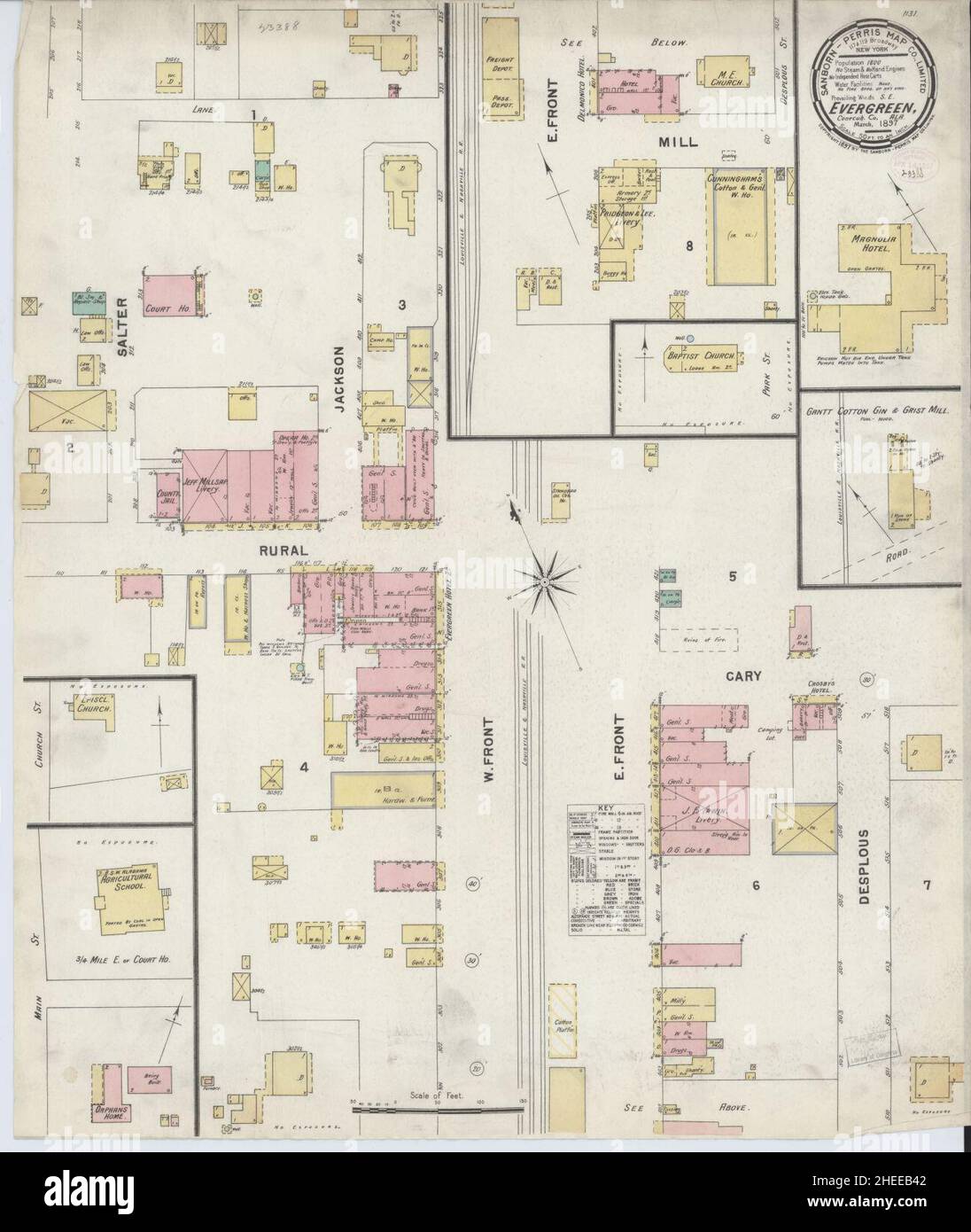Map of evergreen hi-res stock photography and images - Alamy