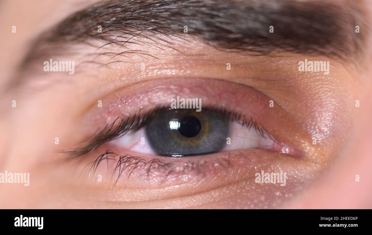 Extreme close up of a beautiful blue man eye looking straight and then looking up, human body ...