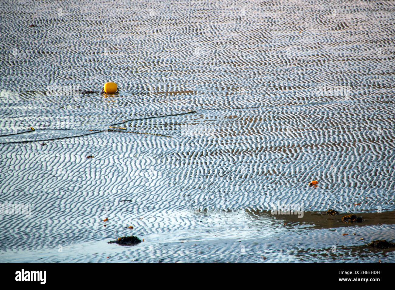 Natural textures and design at the beachduring the low tide Stock Photo ...
