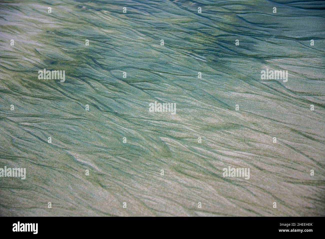 Natural textures hi-res stock photography and images - Alamy