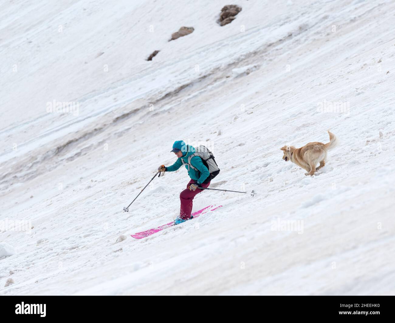 Beartooth pass hi-res stock photography and images - Alamy