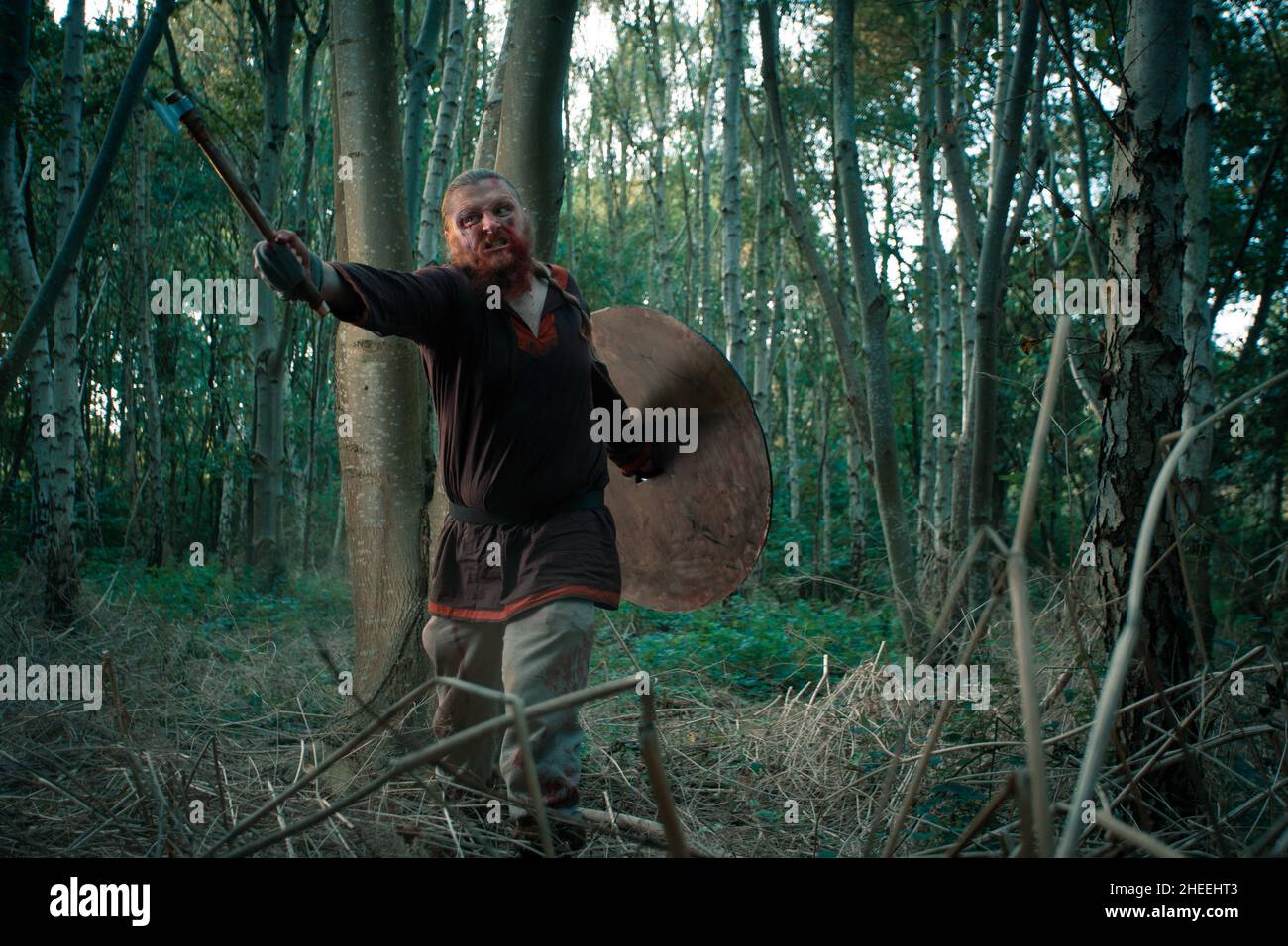 Angry male warrior with Scandinavian axe and shield fighting at ...
