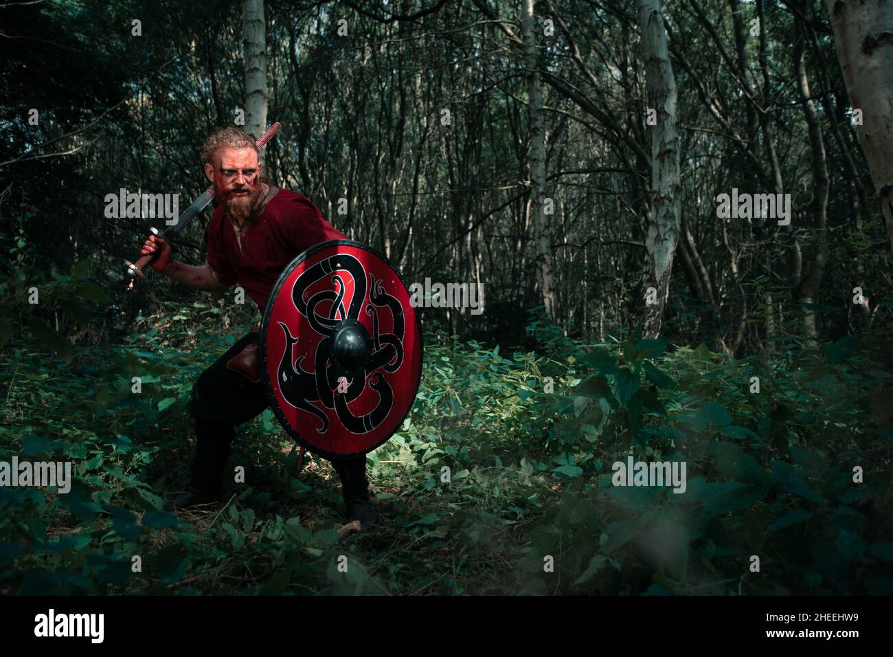 Viking attack hi-res stock photography and images - Alamy
