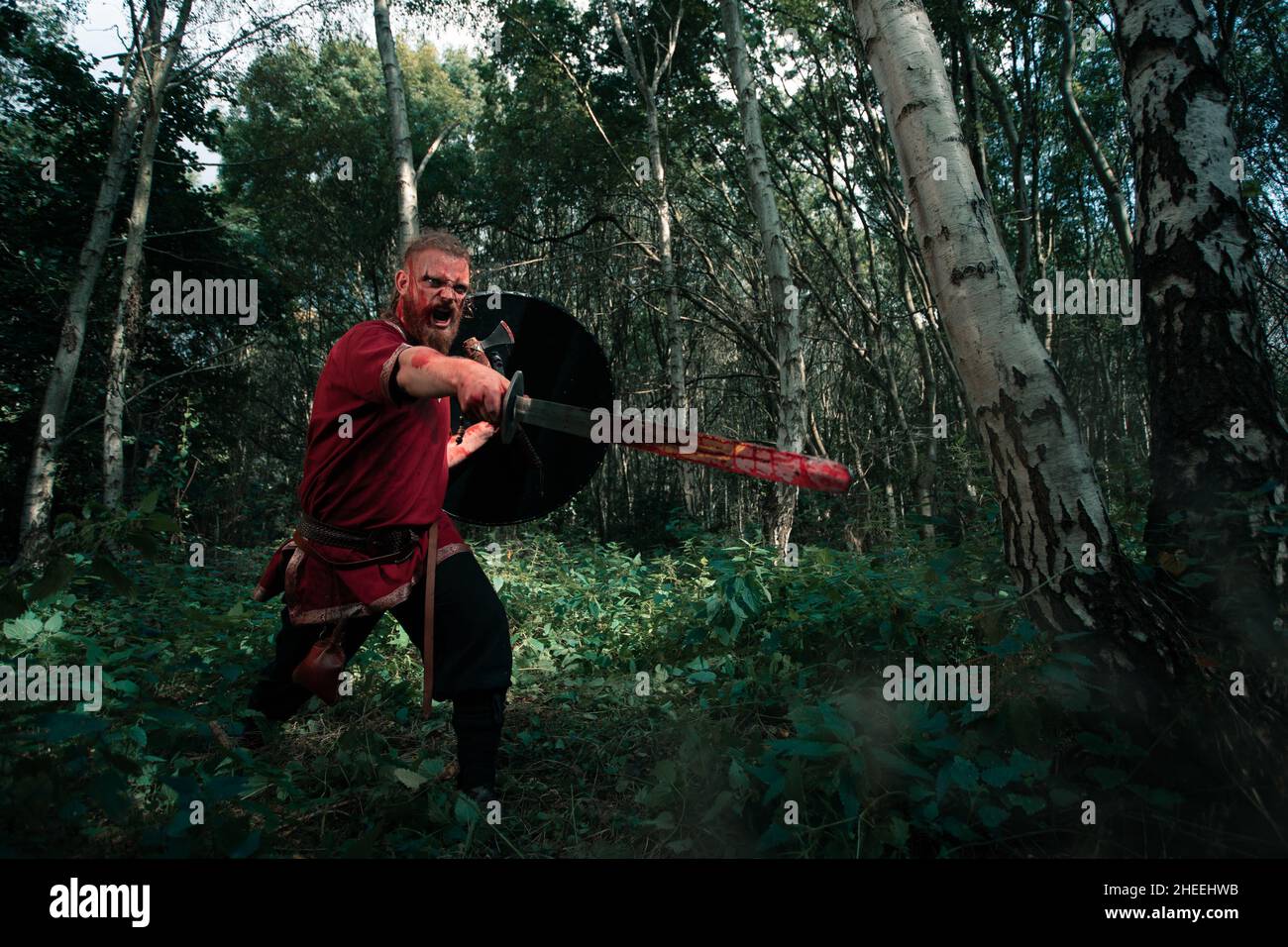 Viking angry hi-res stock photography and images - Alamy