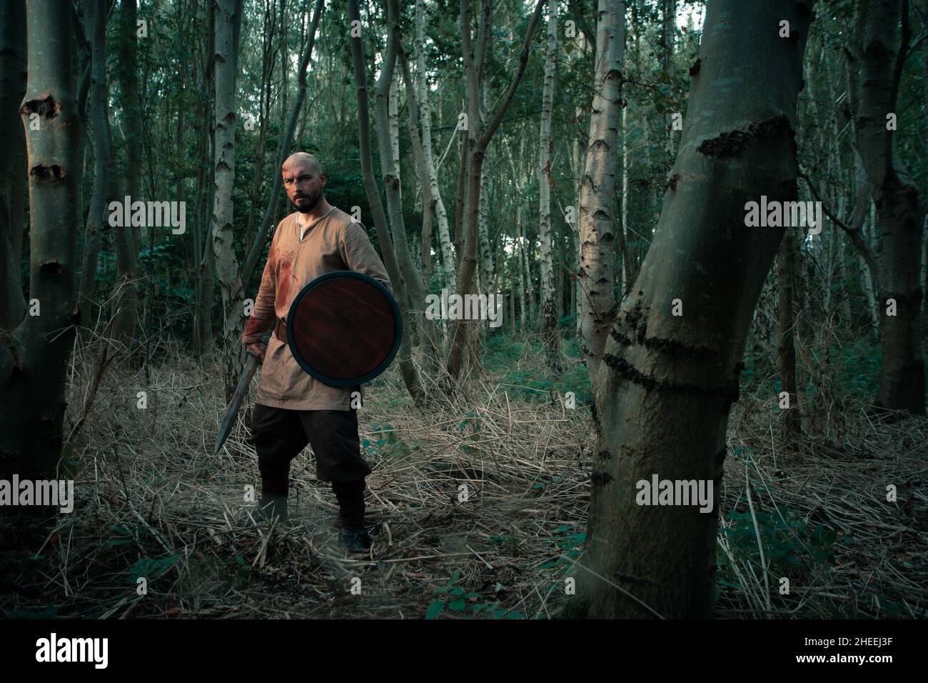 Aggressive bearded male viking with blood on face and clothes looking ...