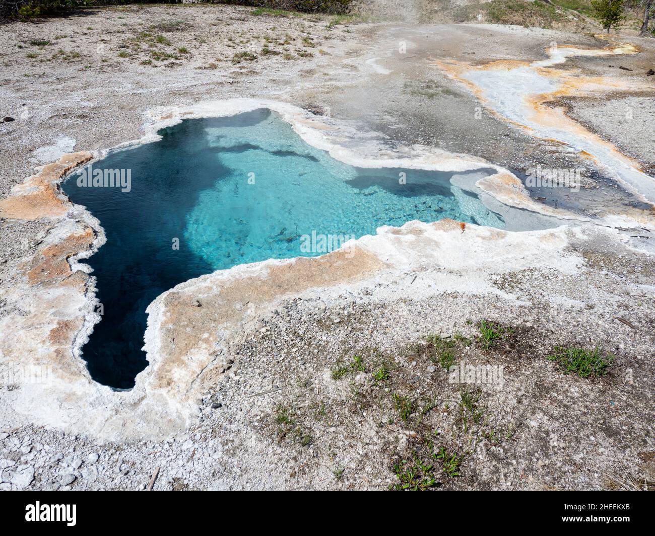 Blue star spring in yellowstone national park hi-res stock photography ...