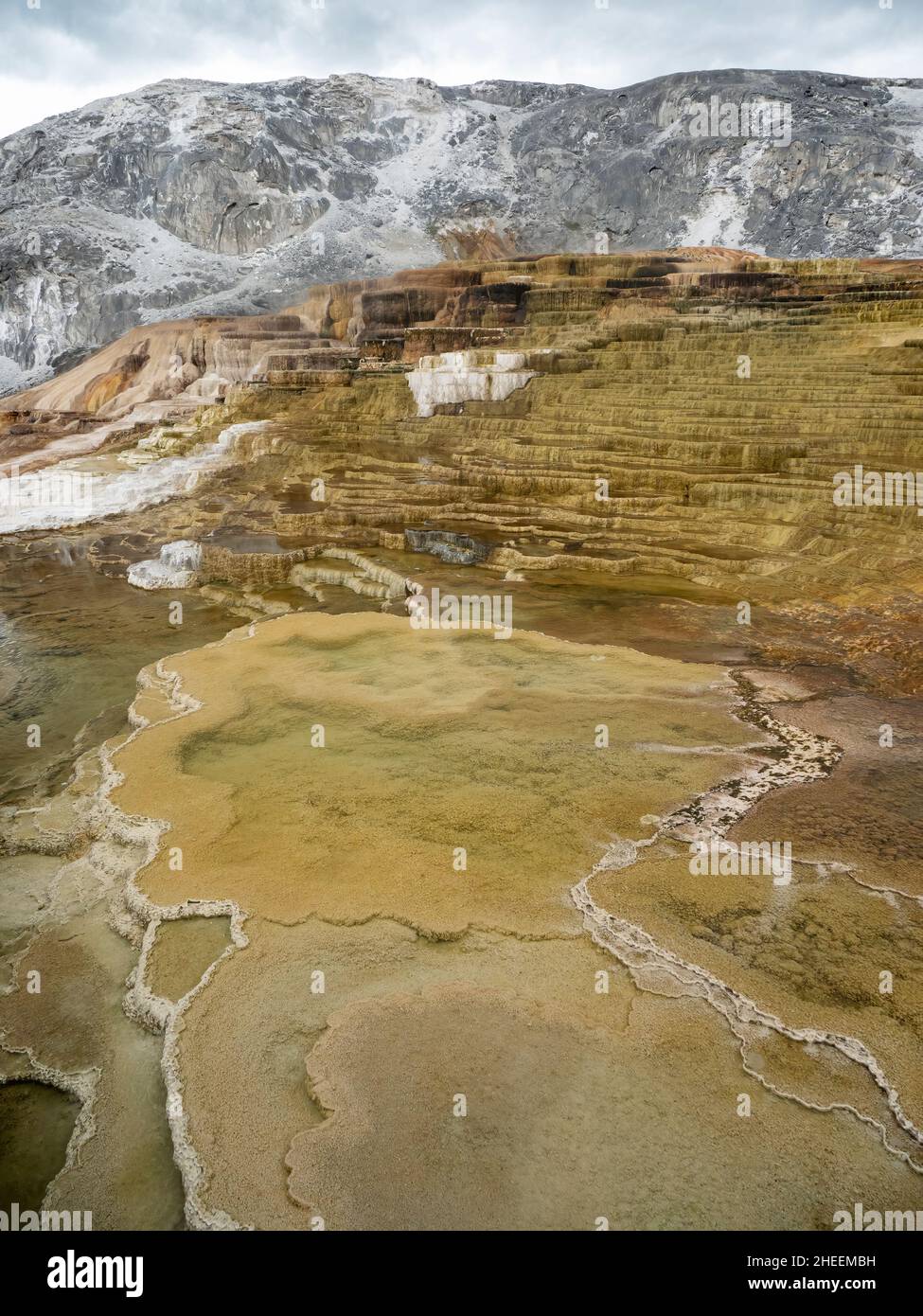 Mammoth Hot Springs Terraces, Yellowstone National Park, Wyoming, USA ...