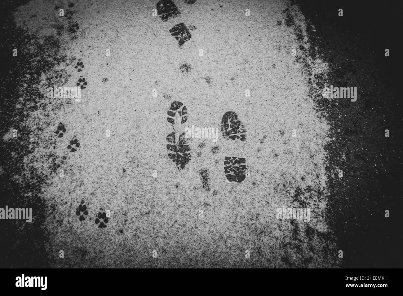 Footprints footprints man in Black and White Stock Photos & Images - Alamy
