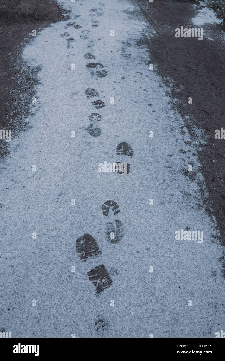 in the freshly fallen snow are footprints Stock Photo - Alamy