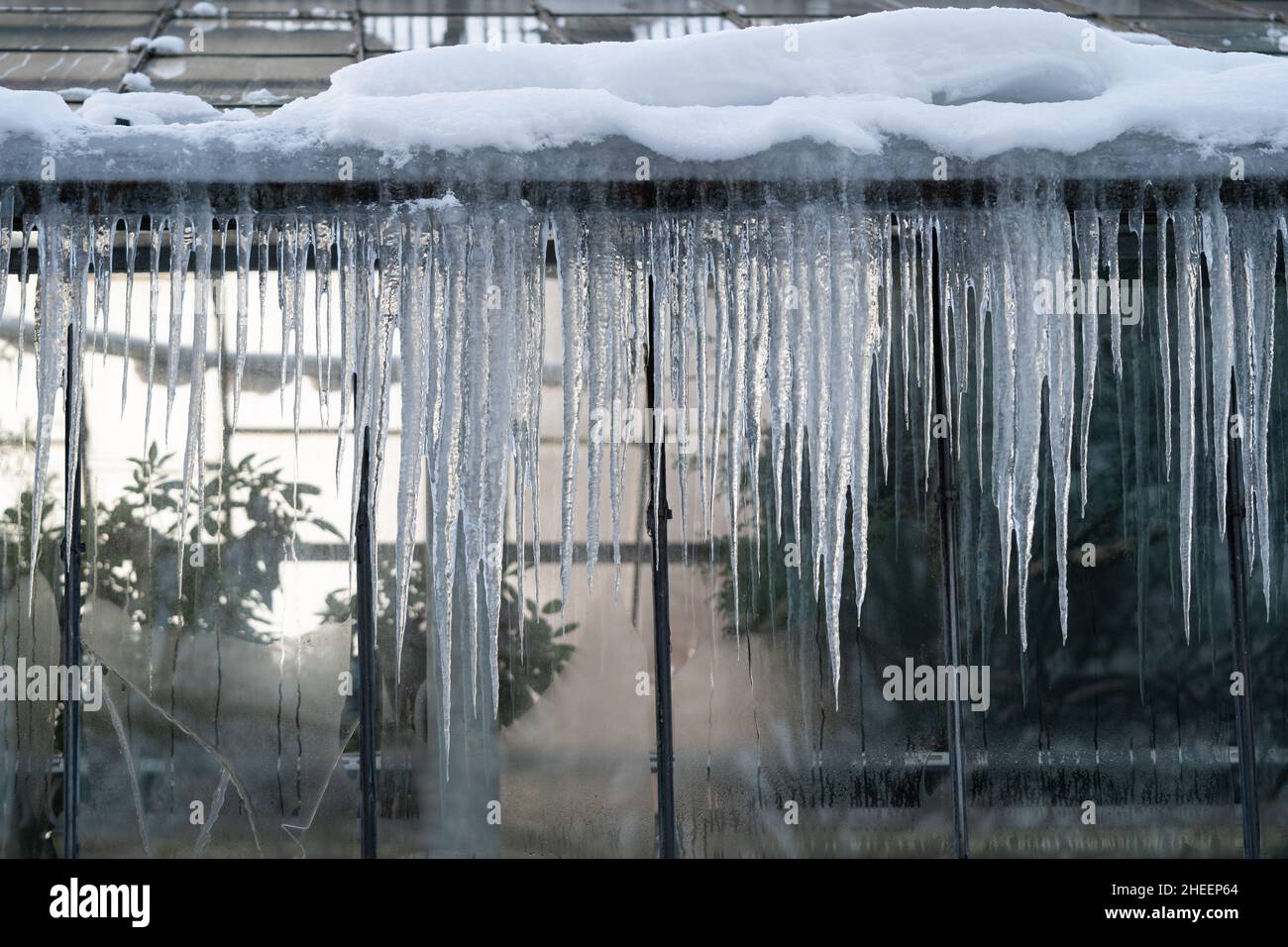 Giant Icicles On Castle Wall