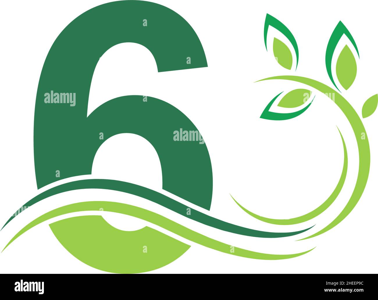 Number 6 Icon with floral logo design template illustration vector ...