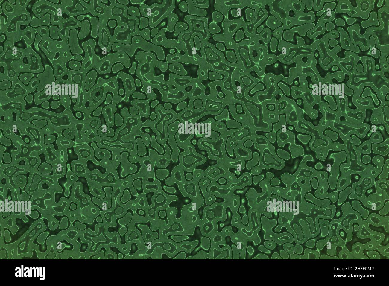 nice green pattern with flowing shapes digital graphic background ...