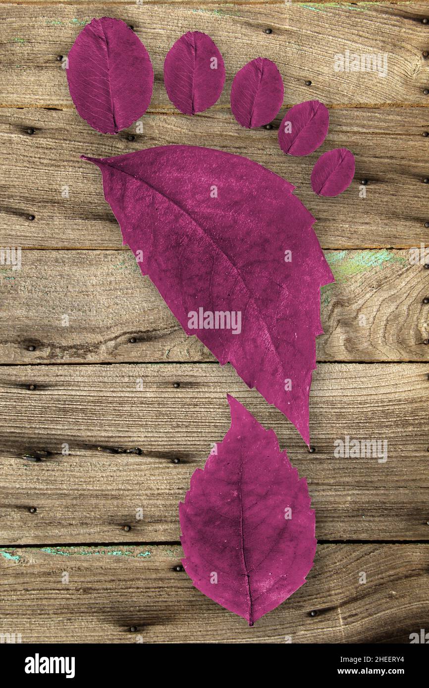 Leaf fingerprint hi-res stock photography and images - Alamy