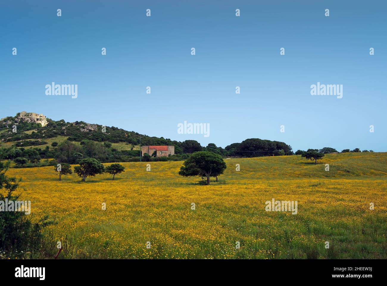Sardinia countryside in spring Stock Photo - Alamy
