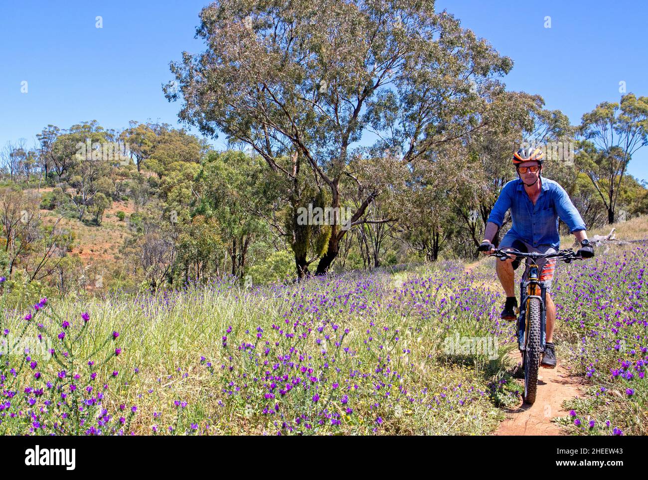 Dodging bullets south australia hi-res stock photography and images - Alamy