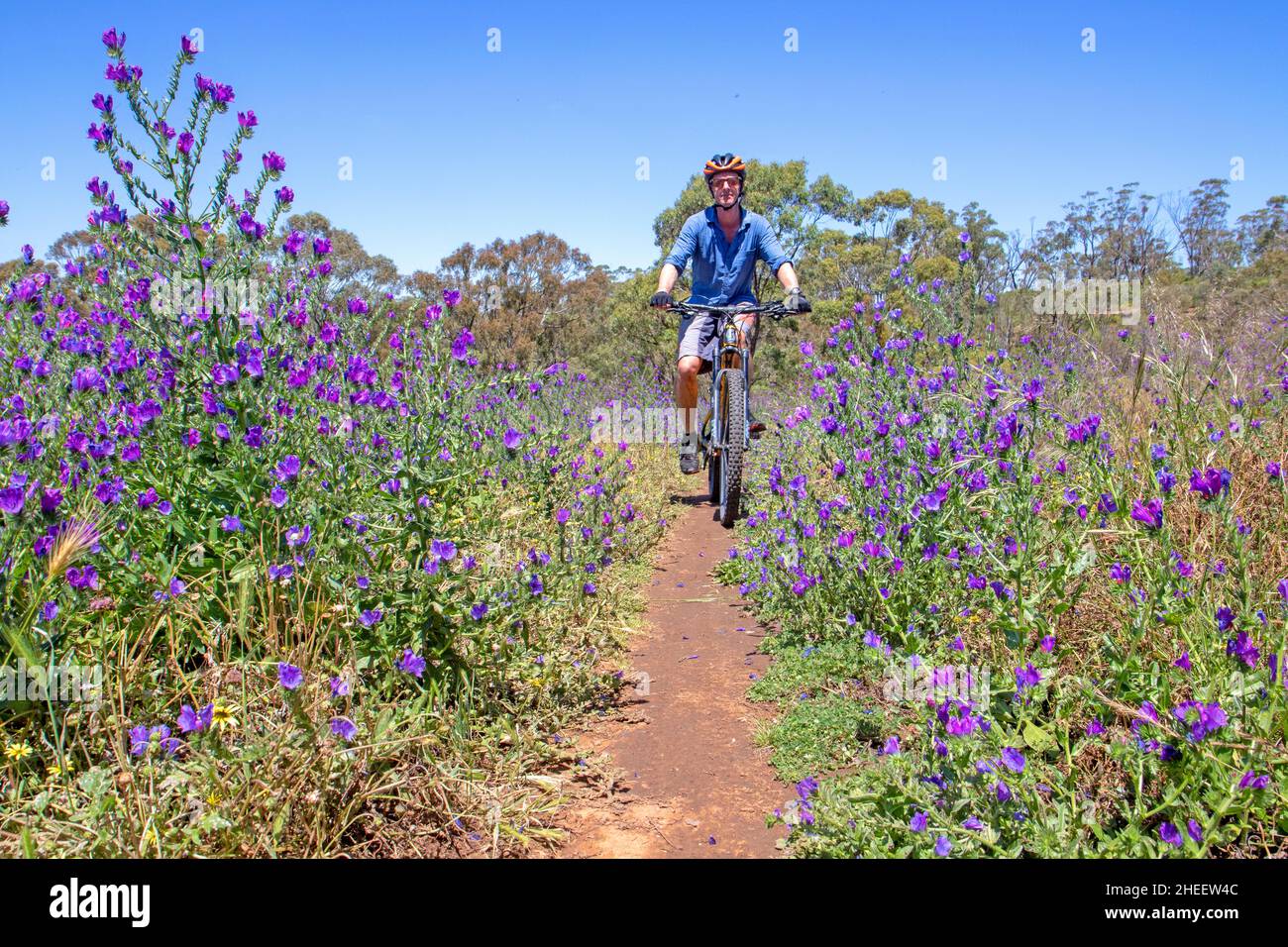 Dodging bullets south australia hi-res stock photography and images - Alamy