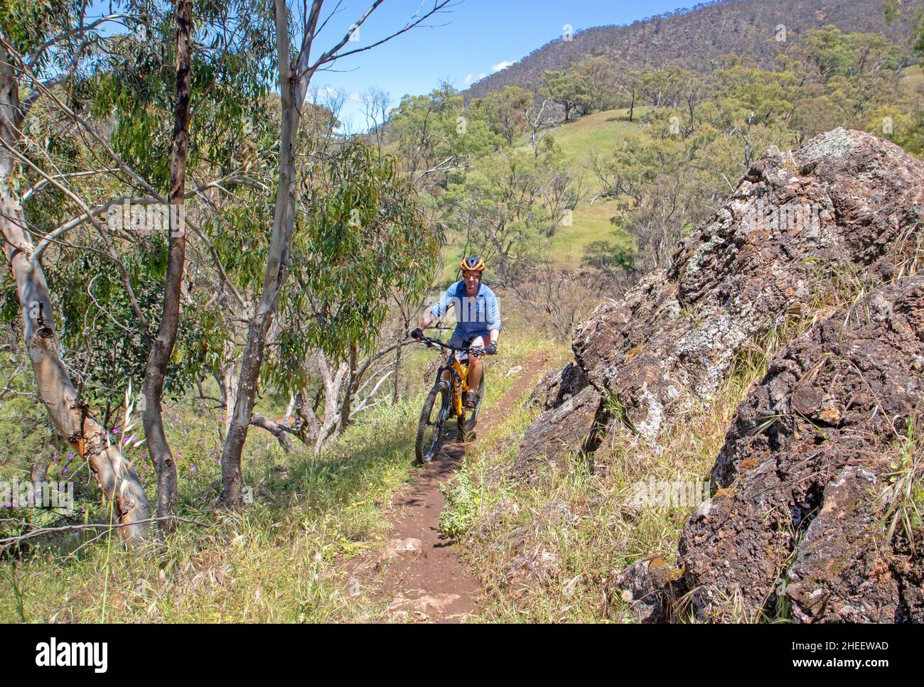 Mountain biking on Edge Loop at Melrose Stock Photo - Alamy