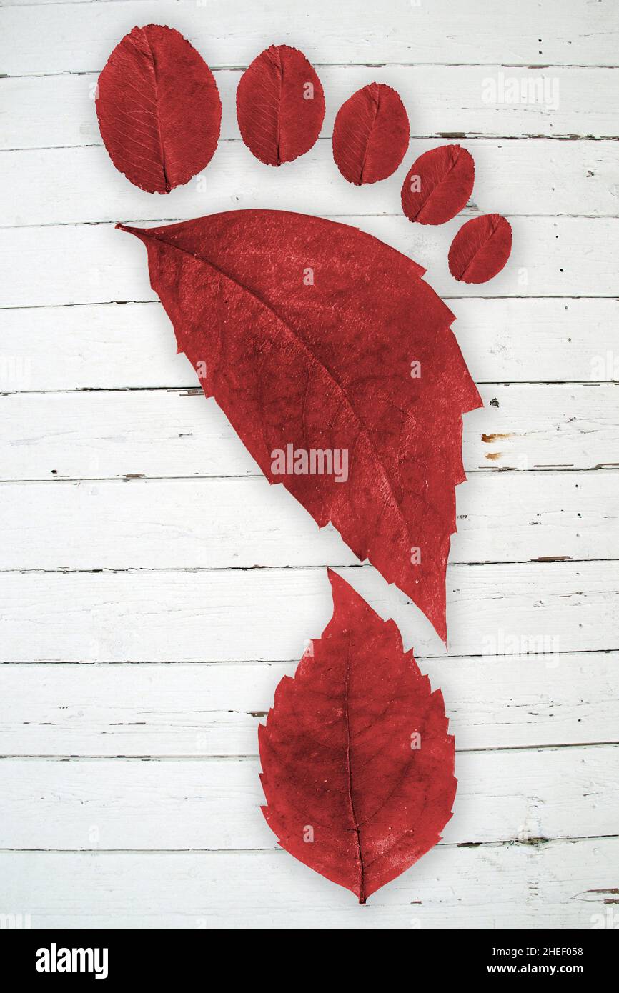 Leaf fingerprint hi-res stock photography and images - Alamy