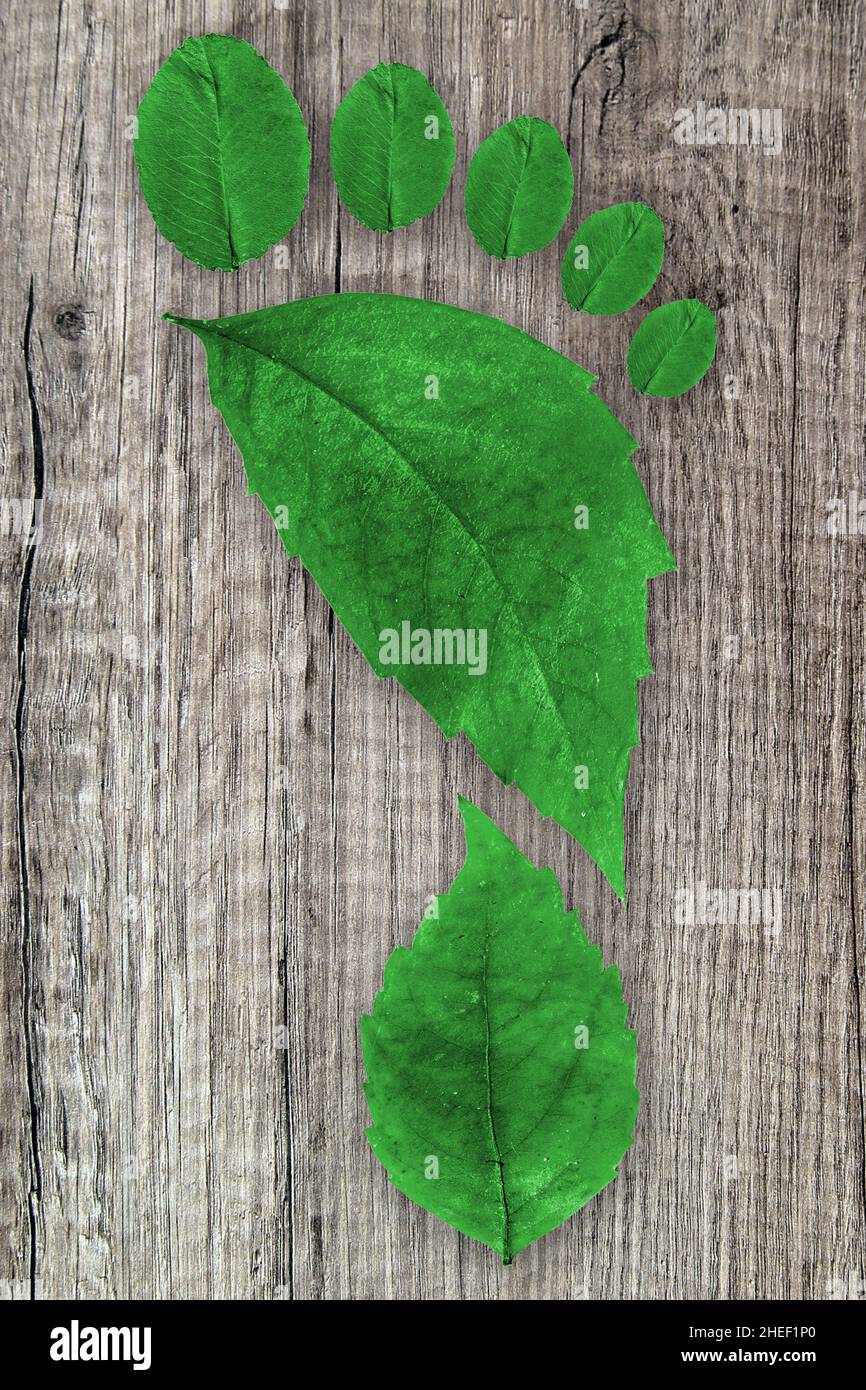 Little fingerprint of human nature Stock Photo - Alamy