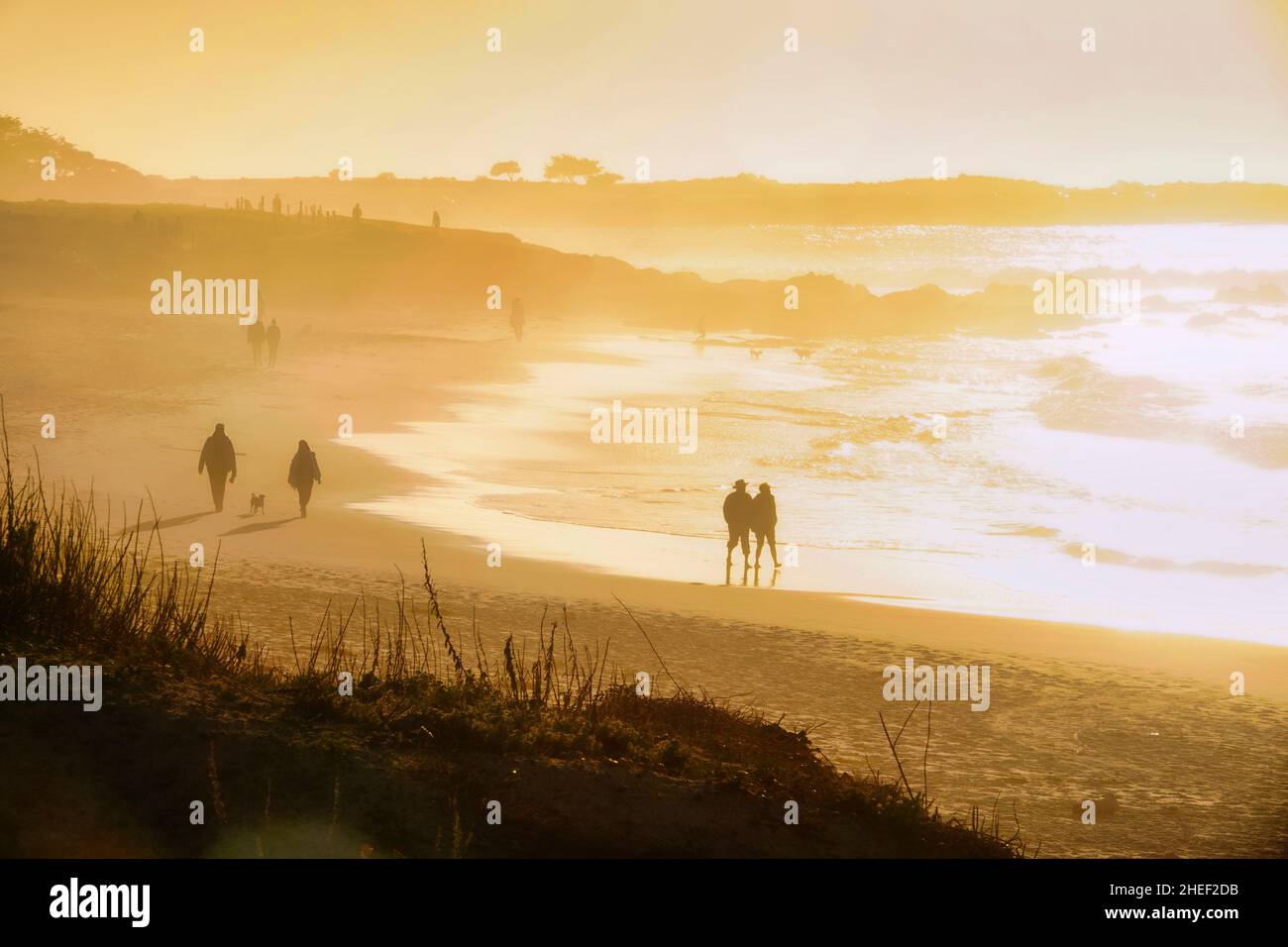 Two couples stroll on Asilomar Beach, in Pacific Grove, as the sun sets ...