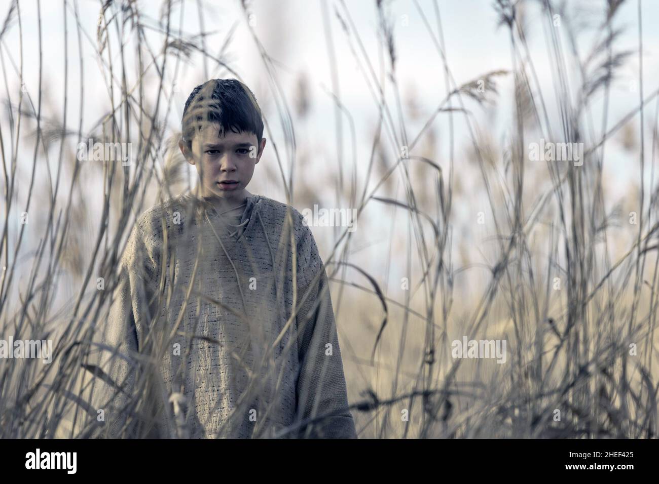 THE BEAST, (aka EL PARAMO, aka THE WASTELAND), Asier Flores, 2021. ph ...