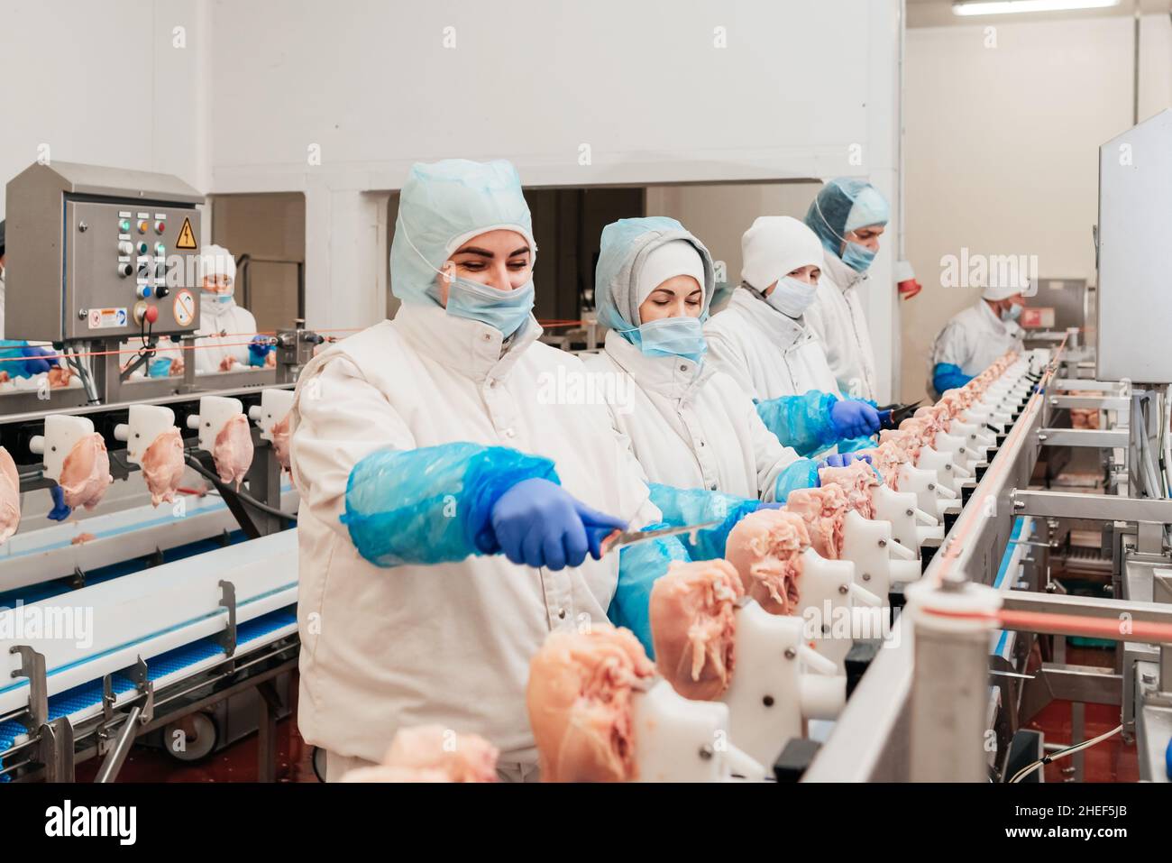 Chicken fillet production line . Factory for the production of food ...