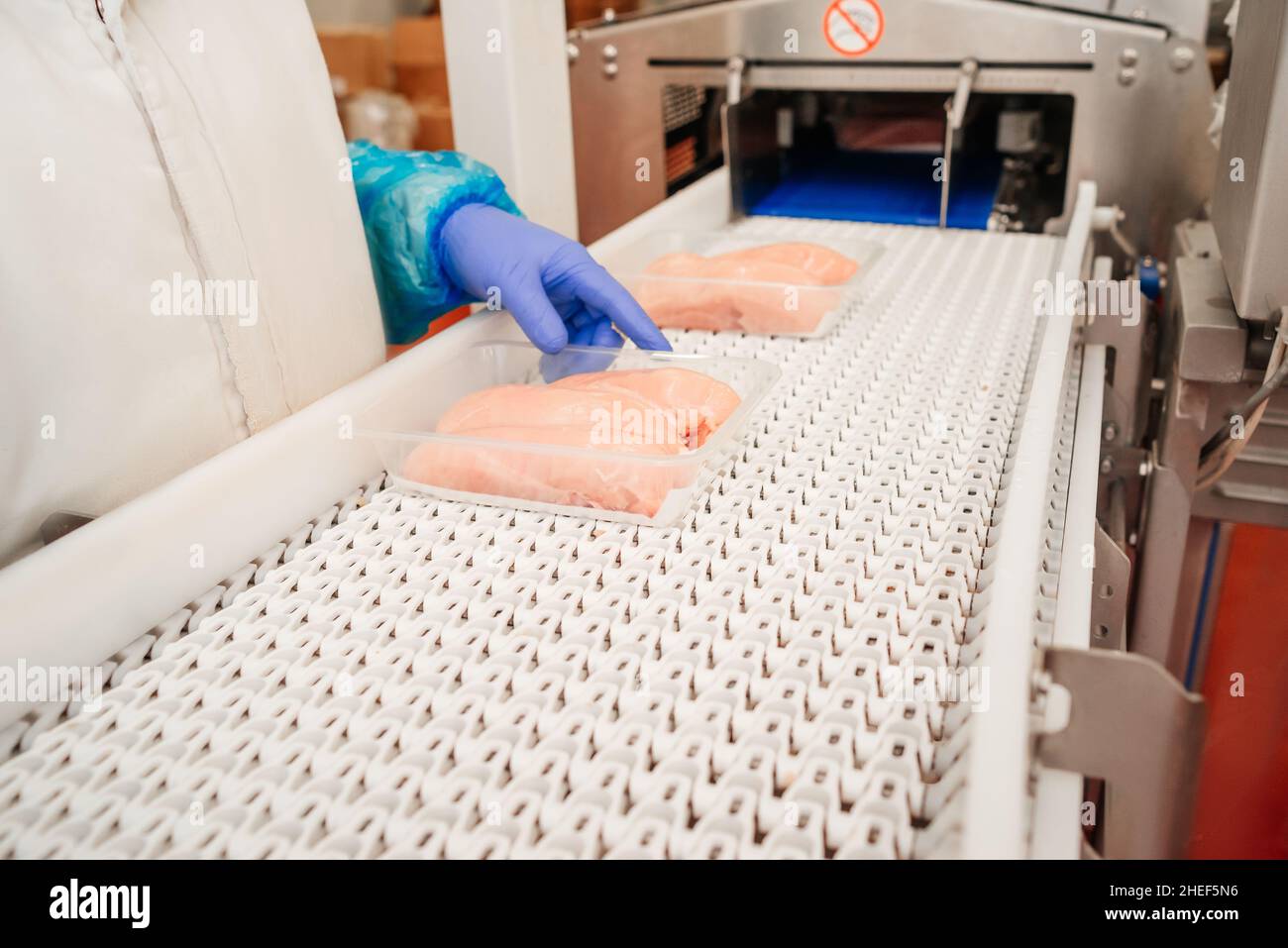 Chicken fillet production line . Factory for the production of food ...