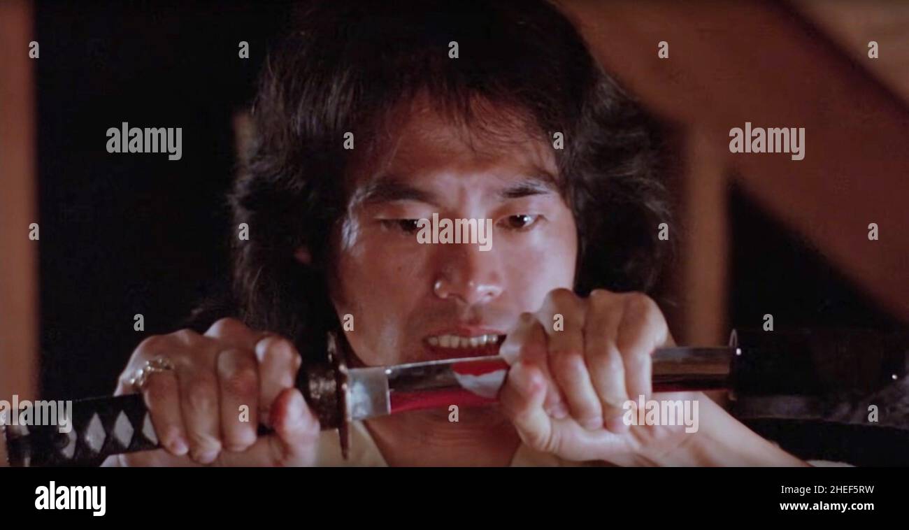 NEW YORK NINJA, John Liu (voice-over by Don Wilson), filmed in 1984 ...