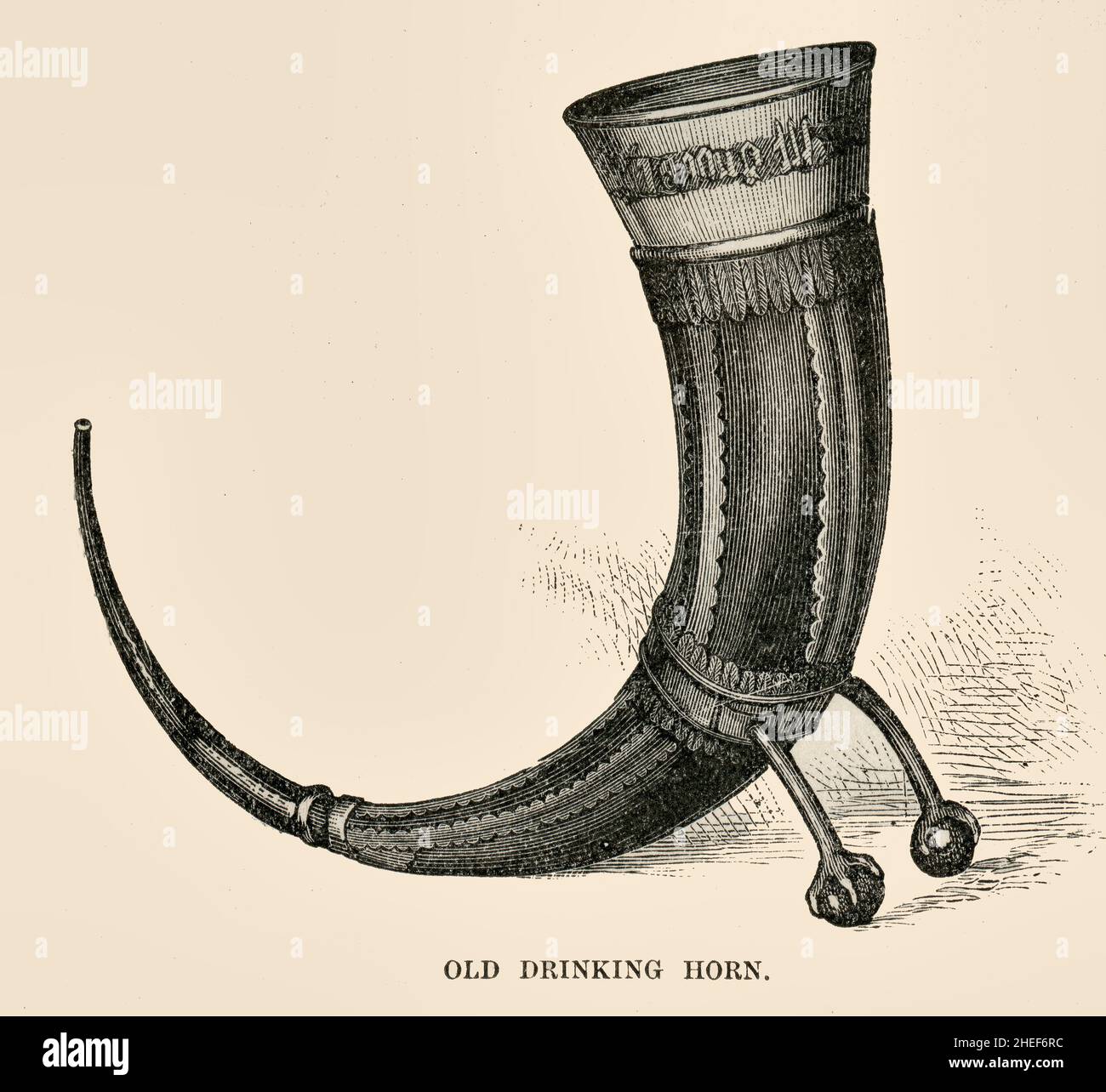 An Old Norwegian Drinking Horn, circa 1880 Stock Photo - Alamy