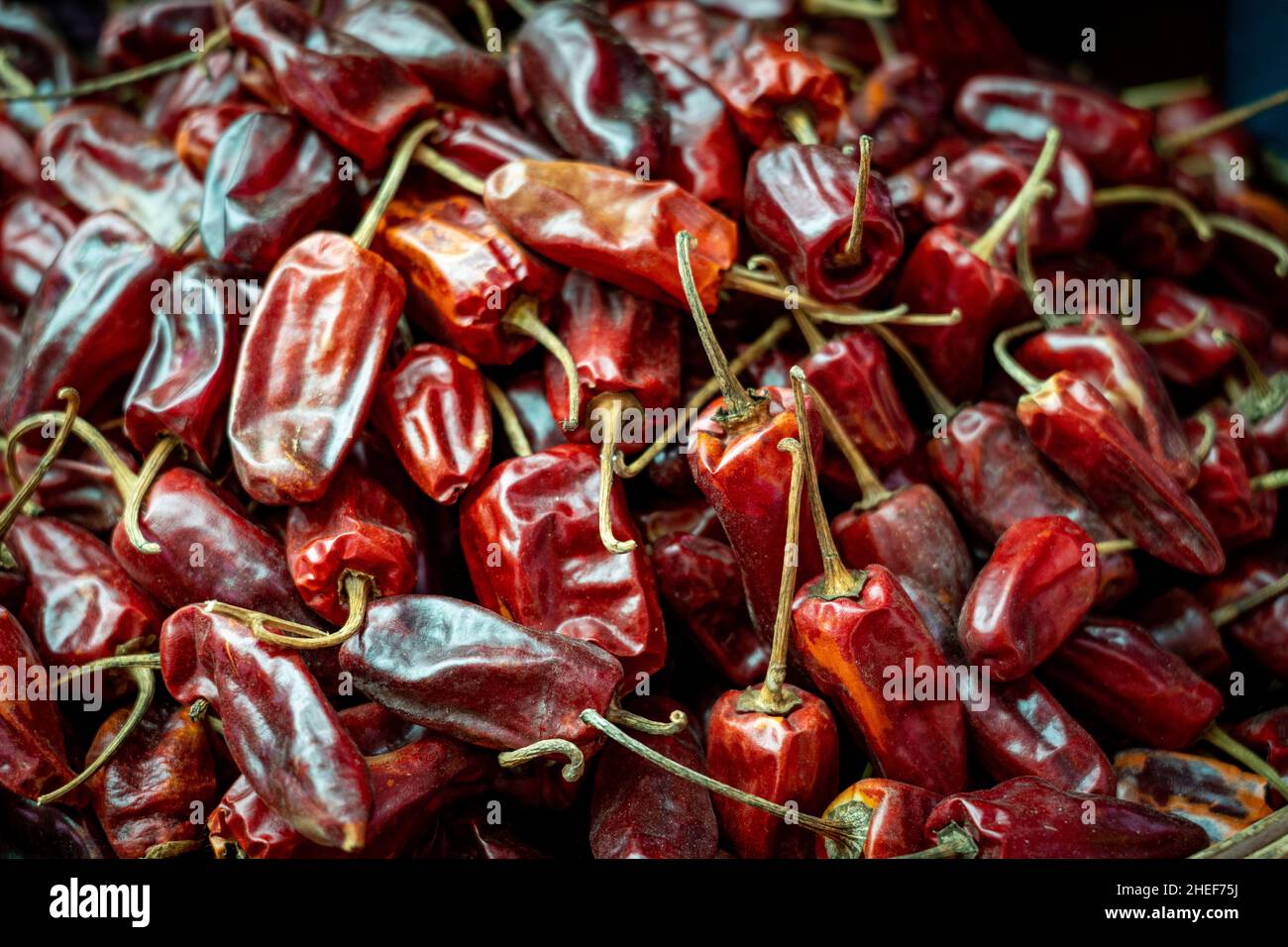 Oaxaca market chilies hi-res stock photography and images - Alamy