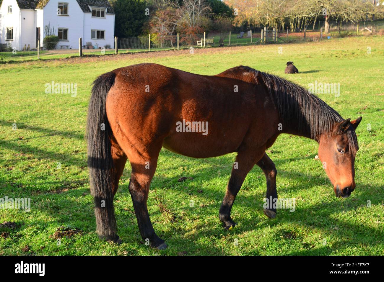 The village of Hambleton near Rutland water Oakham England Uk Stock ...