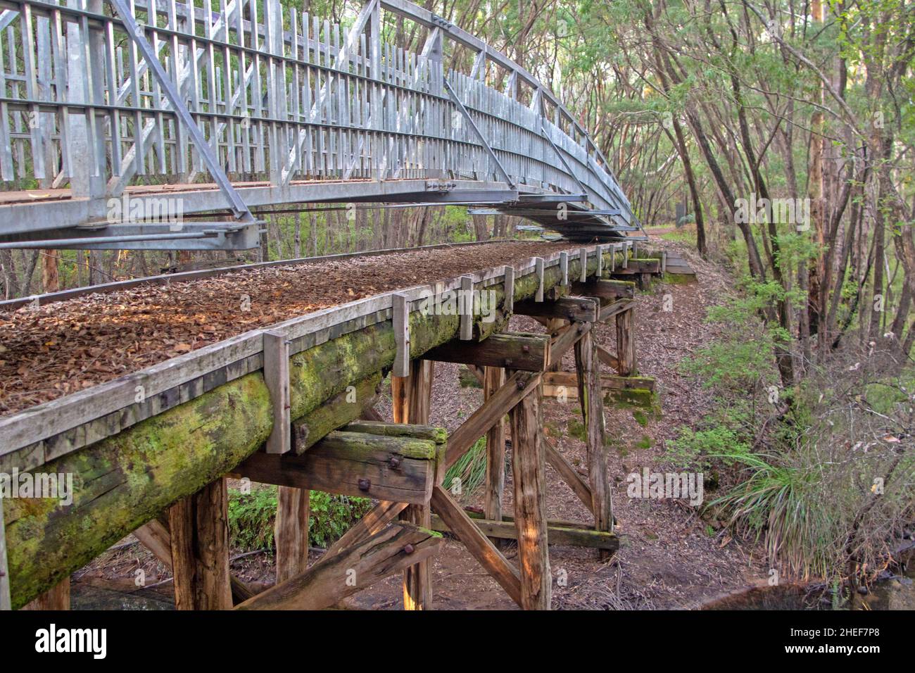 Bridge on the Wadandi Track near Margaret River Stock Photo - Alamy