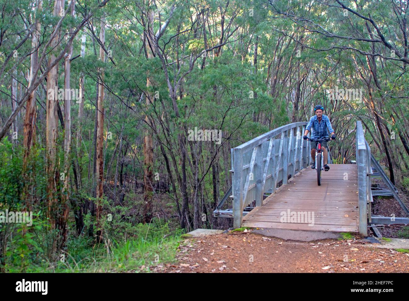 Bridge on the Wadandi Track near Margaret River Stock Photo - Alamy