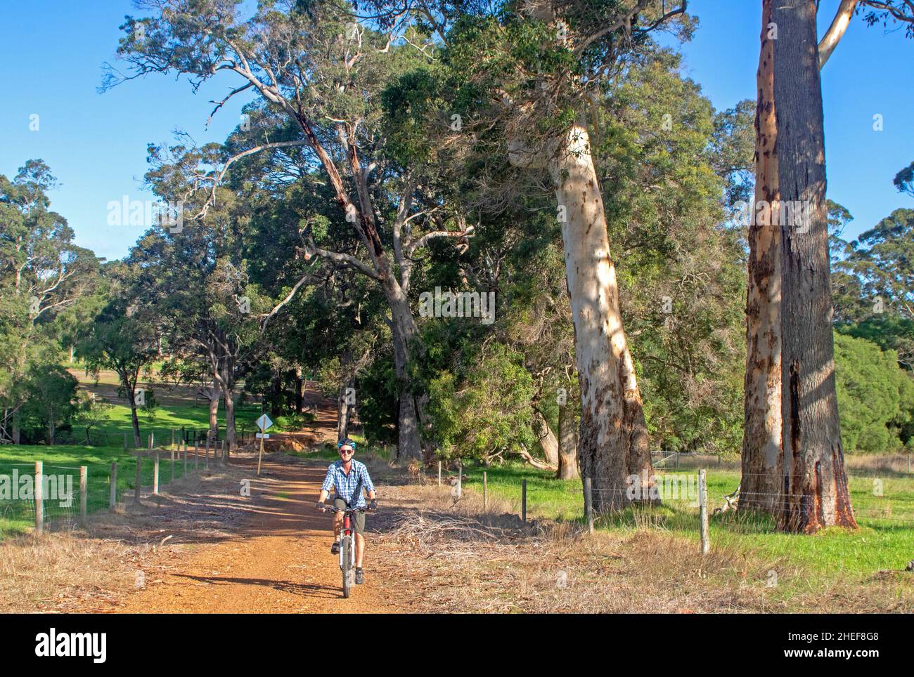 Cycling on the Wadandi Track Stock Photo - Alamy