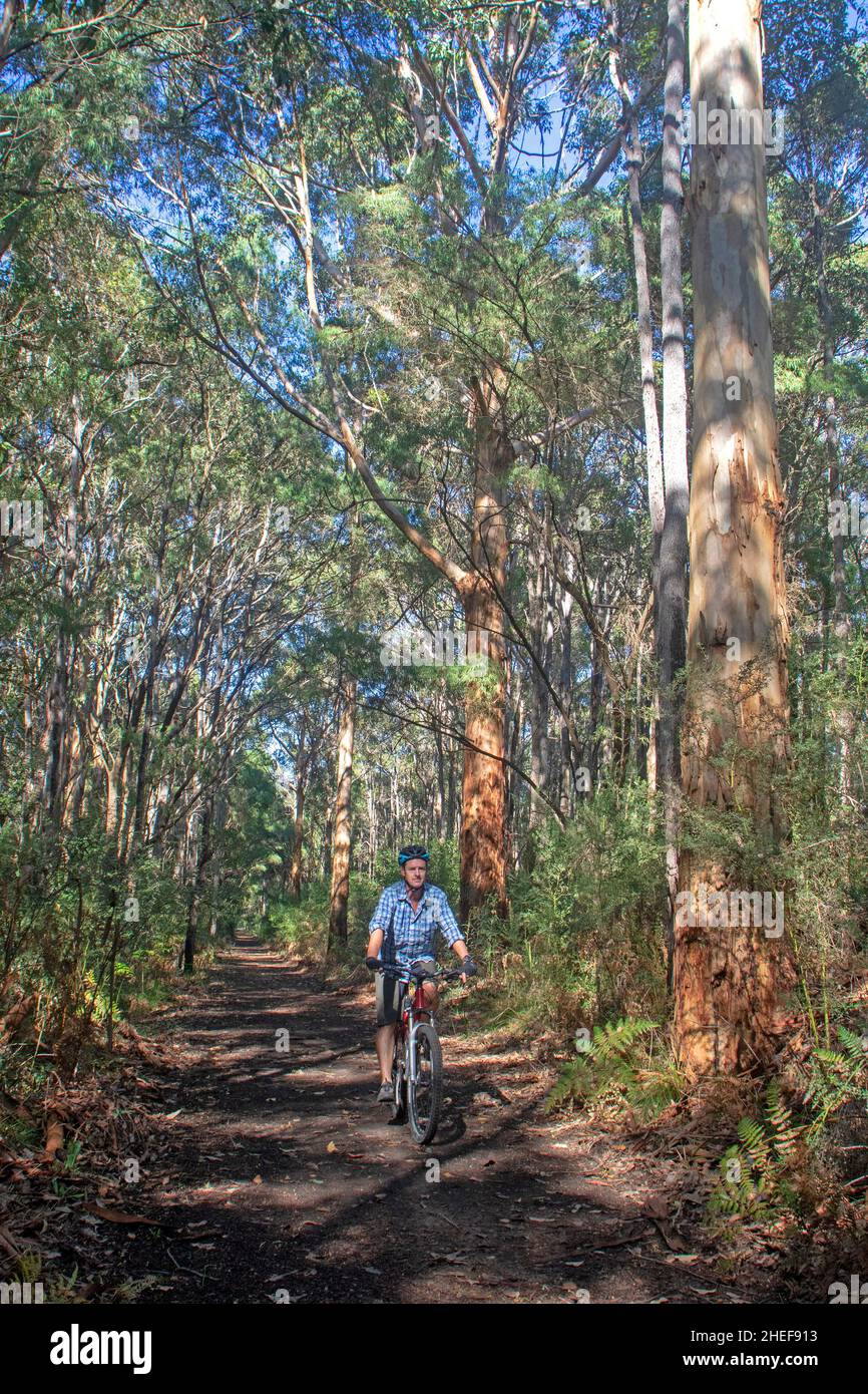 Wadandi hi-res stock photography and images - Alamy