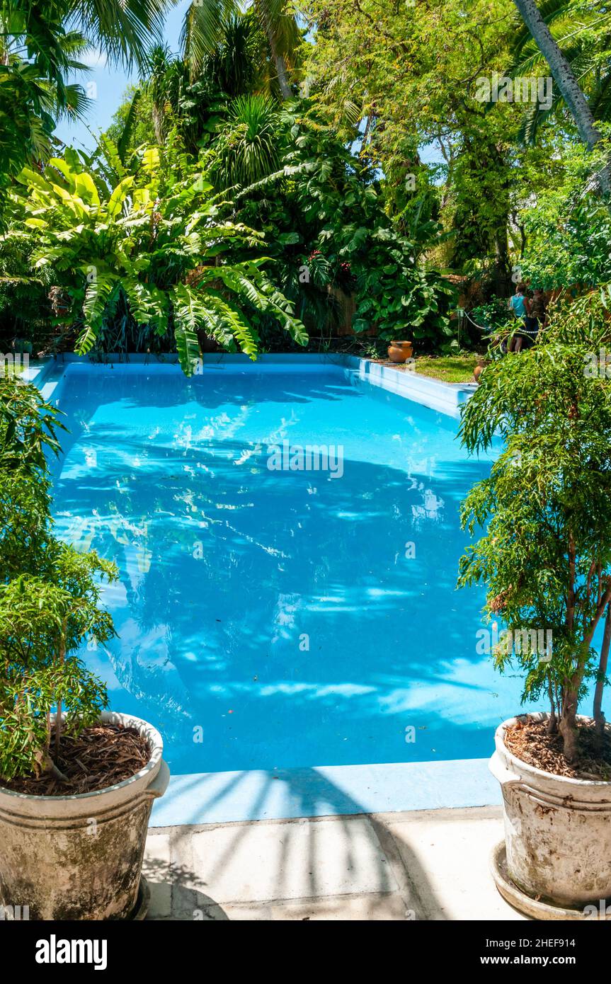 Key West, Ernest Heminway's House, Swimming Pool Stock Photo - Alamy